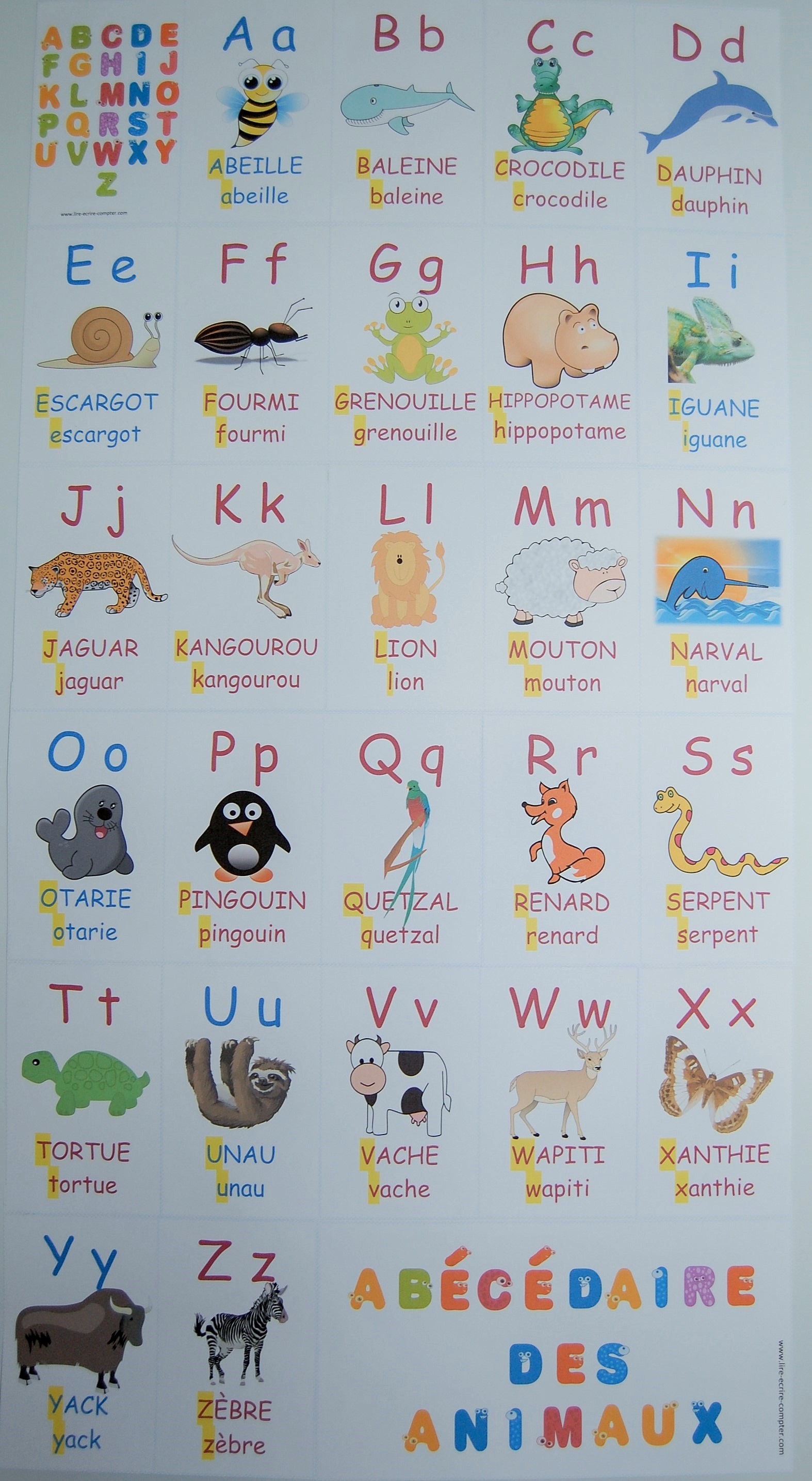 Lire Écrire Compter – Des jeux…pour comprendre et apprendre