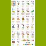 Affiches des sons Borel-Maisonny - Lire écrire compter