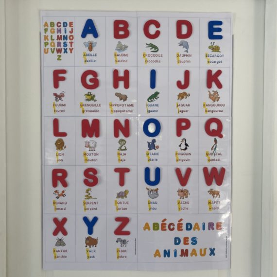 Accueil - Lire écrire compter